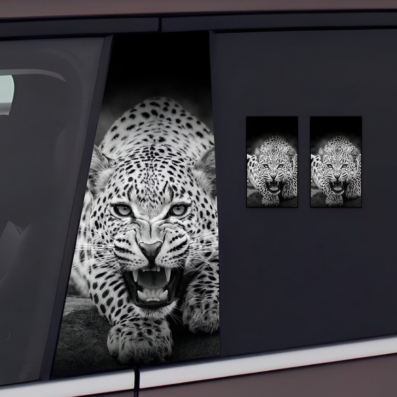 Car Center Pillar Sticker 2 Pcs Set – Stylish and Unique Designs for ...